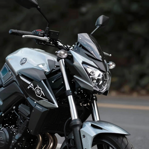 Unlocking the Secrets: Yamaha Fazer Front Fairing Prices in India ...